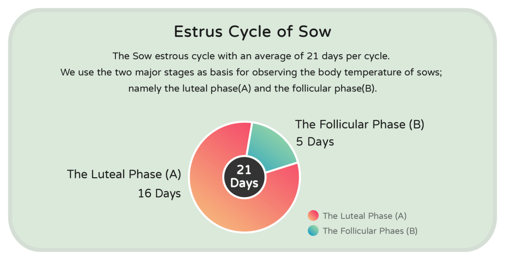 Smart Farming | Smart Pig Raising Solutions | SBI