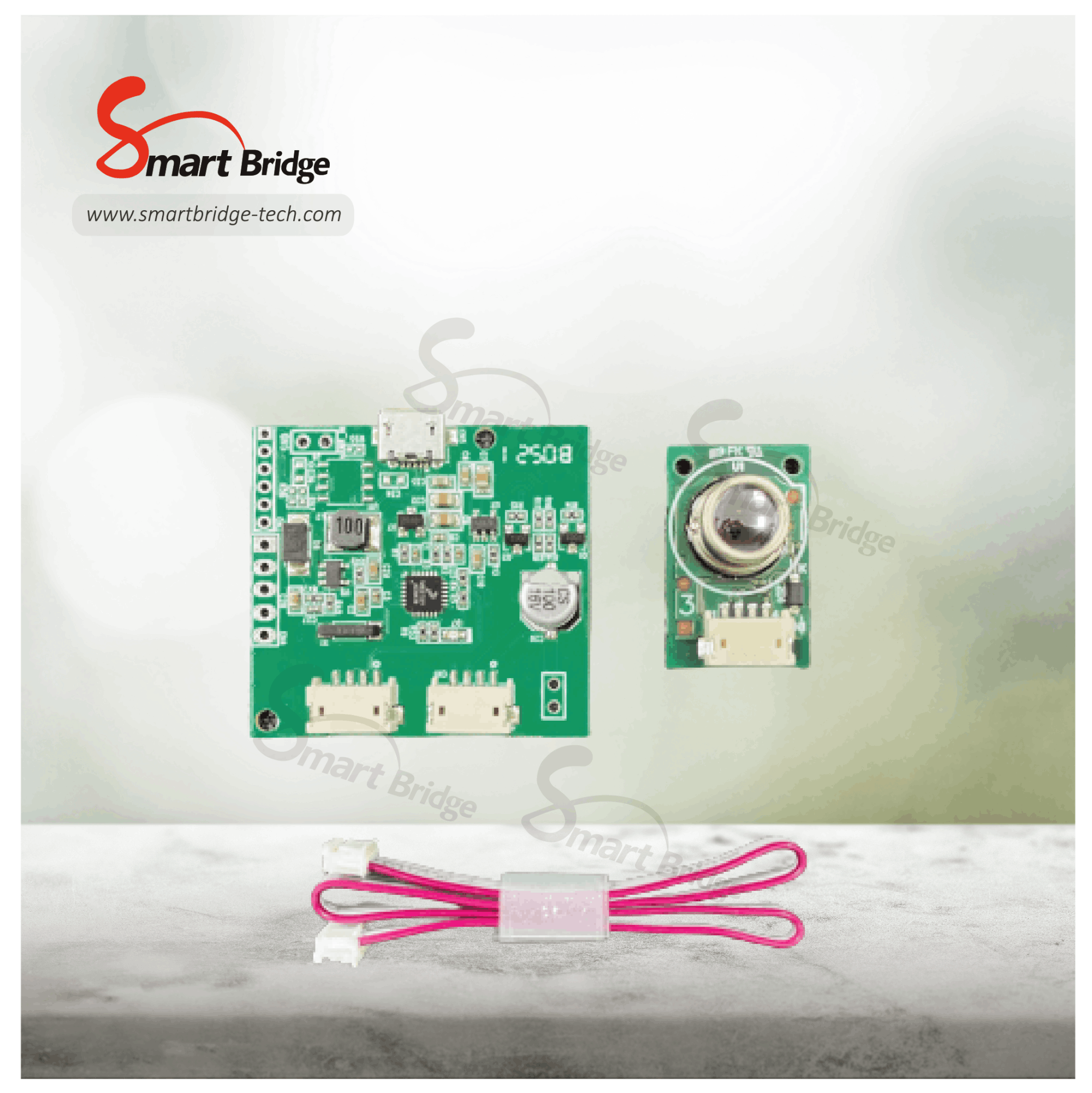 Home [www.smartbridge-tech.com]